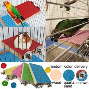 Parrot Perch Stand 12PCS Wood Bird Perch Stand Platform Paw Grinding Rough-surfaced Parakeet Cage Accessories Exercise Toy for Budgies Conure Cockatiel Hamster (Random Color)