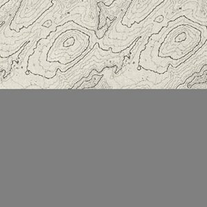 KoolSwitch Fabric by The Yard [ 58 inches x 1 Yard ] Decorative Fabric for Sewing Quilting Apparel Crafts Home Decor Accents (Topographic Map Pattern), Length = 1 Yard