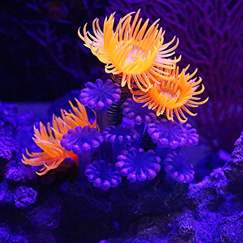 TOPINCN Artificial Coral, Simulation Plant Luminous Silicone Coral Sea Anemone for Fish Tank Landscape Decoration Aquarium Ornaments