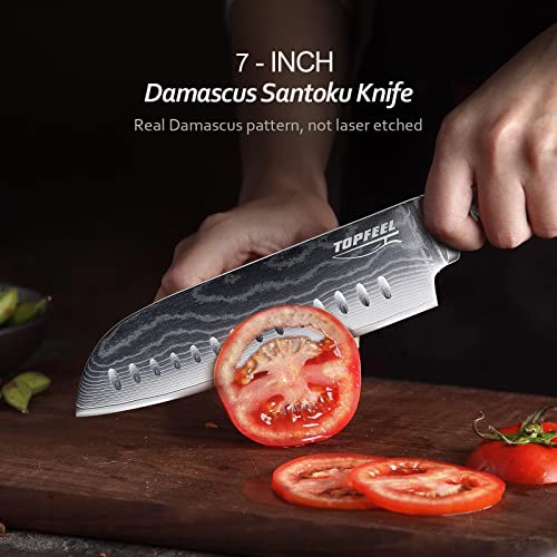 Damascus Santoku Knife 7 Inch, VG-10 67 Layer Damascus Steel Japanese Knife, Razor Sharp Kitchen Knife with Solid G10 Handle, Professional Cooking Knife with Gift Box