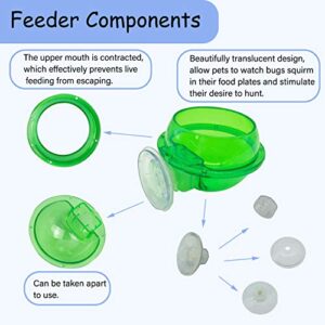 PINVNBY Reptile Suction Cup Feeder,Chameleon Feeding Food Bowl,Translucent Anti Escape Worm Live Fodder Container,Pet Ledge Water Dish Supplies for Lizard Gecko Bearded Dragon(4 Pcs)