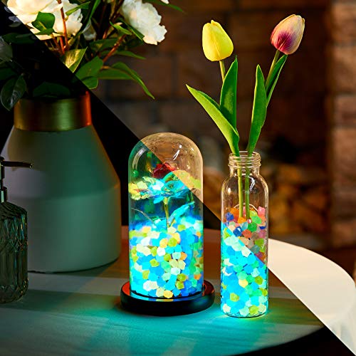 BBTO Glow in The Dark Aquarium Stones Glowing Pebbles Gravel Glowing Rocks for Indoor and Outdoor Garden, Driveways, Fish Turtle Tank Decor, 1.4 cm (450 Pieces)