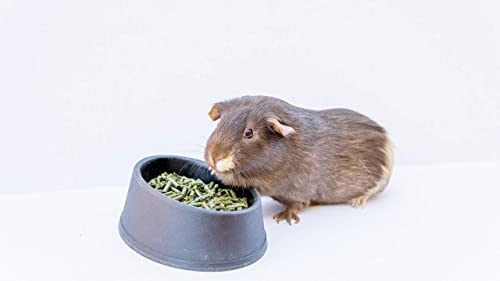 High Desert Delight Alfalfa Pellets: The Holy Grail of Small Pet Food for Your Furry, Feathered, and Shelled Friends