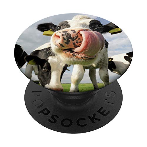 Cow Farm Animal PopSockets Swappable PopGrip