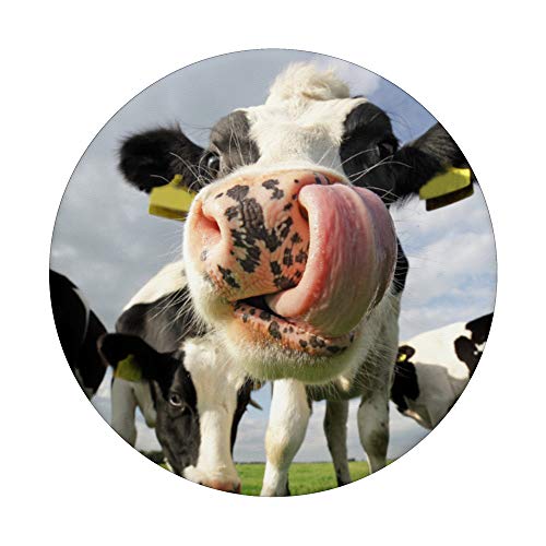 Cow Farm Animal PopSockets Swappable PopGrip