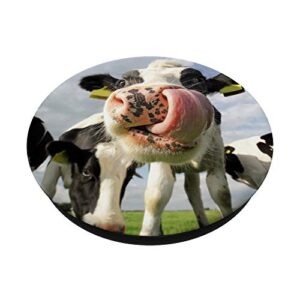 Cow Farm Animal PopSockets Swappable PopGrip