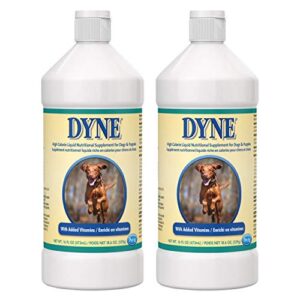 petag dyne high calorie liquid nutritional supplement for dogs and puppies - with multivitamins for recovery and nursing - vanilla flavor - 2 pack of 16 fl oz bottles