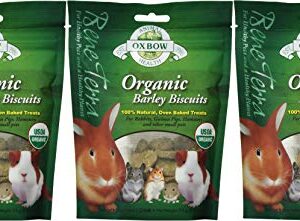 Oxbow 3 Pack of Bene Terra USDA Organic Barley Biscuits Natural Baked Small Pet Treats, 2.65 Ounces Each