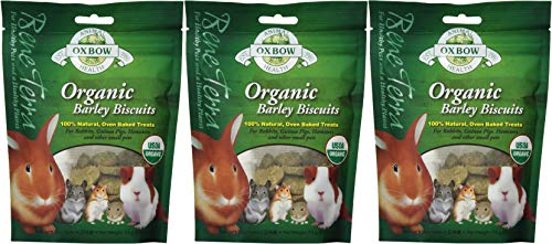 Oxbow 3 Pack of Bene Terra USDA Organic Barley Biscuits Natural Baked Small Pet Treats, 2.65 Ounces Each