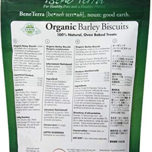 Oxbow 3 Pack of Bene Terra USDA Organic Barley Biscuits Natural Baked Small Pet Treats, 2.65 Ounces Each