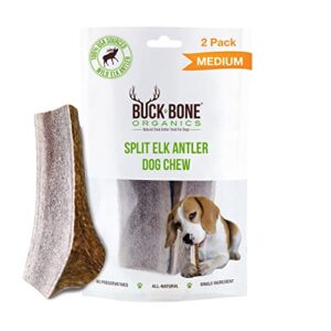 buck bone organics dog chews, antlers for dogs, premium natural elk and deer antler chews, long lasting dog bones for aggressive chewers, no preservatives, wild shed in the usa (medium 2 pack)