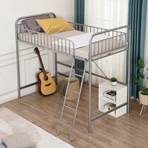 Twin Loft Bed with Full-Length Guardrail and Ladder (Silver)