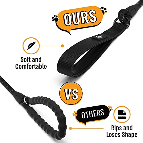 ACTIVE PETS Strong Dog Rope Leash with Soft Comfortable Padded Handle and Highly Reflective Threads, Dog Leash for Small Medium and Large Dogs, Puppy Leash for Training Running and Walking