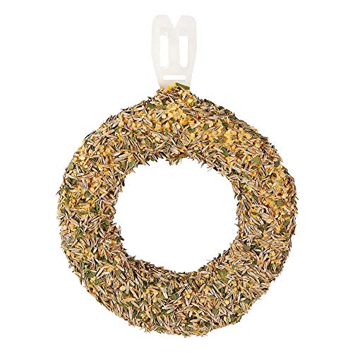 Sun Seed Swing Ring Grass Seed/Spinach Bird Treat, 2.11 oz.