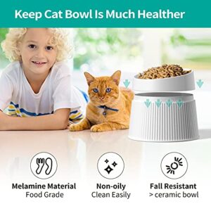 uahpet Elevated Cat Food Bowl Super Widen Raised Cat Food Dishes for Protecting Spine, Reliefing Whisker Fatigue, Anti-Vomiting 17° Tilted Pet Feeding Bowls with Silicone Mat for Indoor Cats