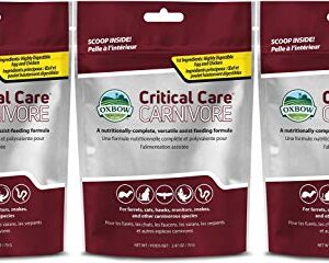 Oxbow 3 Pack of Critical Care Carnivore, 2.47 Ounces Each, Support Supplement for Small Pets