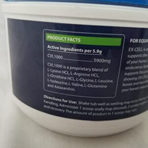 Cox Vet Labs Ex-Cell Pure Amino Acids Powder 600g