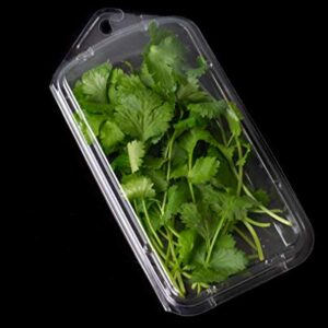 JA Kitchens 2 Ounce Large Herb Clamshell Container - Disposable - Pack of 20