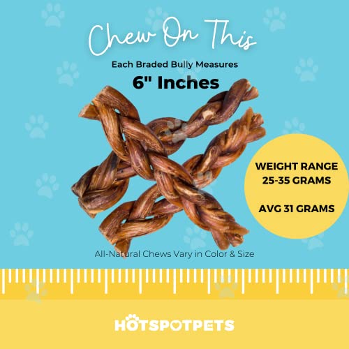 hotspot pets Braided Bully Sticks for Dogs - Premium All Natural Long Lasting Twisted Beef Pizzle Dog Chew Treats - Grain Free Fully Digestible Rawhide Alternative - 6 Inch Stix (10 Pack)