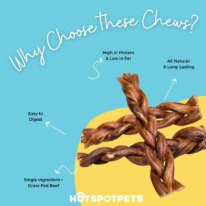 hotspot pets Braided Bully Sticks for Dogs - Premium All Natural Long Lasting Twisted Beef Pizzle Dog Chew Treats - Grain Free Fully Digestible Rawhide Alternative - 6 Inch Stix (10 Pack)