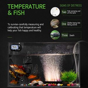 VIVOSUN 800GPH Submersible Pump & 1-Pack LCD Digital Aquarium Thermometer, Ultra Quiet Water Pump with 10ft High Lift, for Fish Tank, Pond, Aquarium, Statuary, Hydroponics