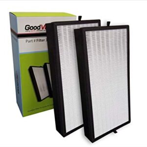 GoodVac H13 True HEPA 2-Pack Replacement Filter Kit Compatible with Inofia 1608 (PM1608)