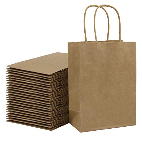 BIOBROWN Gift Bags Paper Bags Bulk with Handles for Birthday Wedding Party Favors - 10 x 5 x 13 inch - 25pcs - Kraft