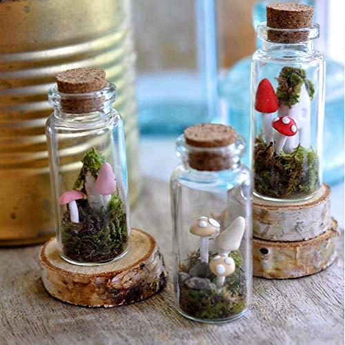 Mini Glass Bottles with Cork Stoppers, Mini Vials Cork, Tiny Glass Jars for Favors Wedding Party Supplies DIY Crafts, Baby Shower Favors, School Projects (12)