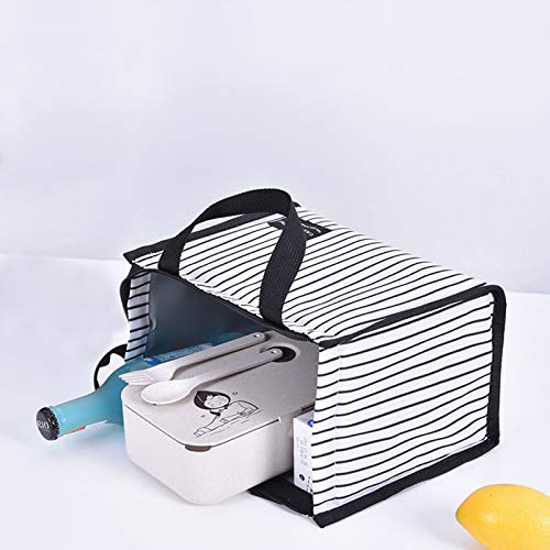 Pack of 2 Insulated Lunch Bag for Women Men, Stylish Lunch Tote Bag, Medium + Large Handbag with Zipper Lunch Box for Work, School, Shopping