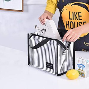 Pack of 2 Insulated Lunch Bag for Women Men, Stylish Lunch Tote Bag, Medium + Large Handbag with Zipper Lunch Box for Work, School, Shopping