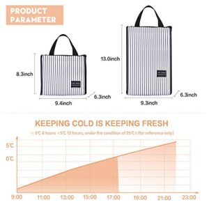 Pack of 2 Insulated Lunch Bag for Women Men, Stylish Lunch Tote Bag, Medium + Large Handbag with Zipper Lunch Box for Work, School, Shopping