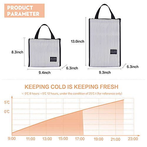 Pack of 2 Insulated Lunch Bag for Women Men, Stylish Lunch Tote Bag, Medium + Large Handbag with Zipper Lunch Box for Work, School, Shopping