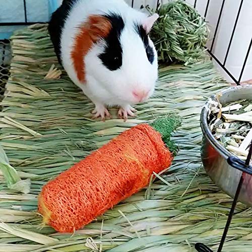 kathson 6 PCS Rabbit Large Grass Mat Natural Grass Woven Mat Rabbits Chew Toys Grass Bedding Nest for Small Animal Bunny Rabbit Guinea Pigs Hamster Chinchillas Puppy Biddy Sleeping Chewing