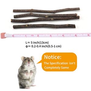 CHUHUAYUAN Natural Apple Sticks, 300g Treats Food for Small Animals, Chew Toys for Chinchilla Guinea Pigs Rabbit Squirrel Hamster Bunny