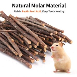 CHUHUAYUAN Natural Apple Sticks, 300g Treats Food for Small Animals, Chew Toys for Chinchilla Guinea Pigs Rabbit Squirrel Hamster Bunny