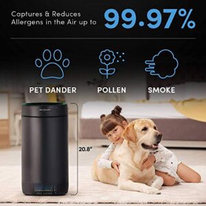 Case-Mate Safe+Mate - True HEPA Air Purifier - 3 Stage Filtration - Up to 500 Sq FT - Performance Air Cleaner - Pet - Dust - Pollen - Home or Office Use - Black