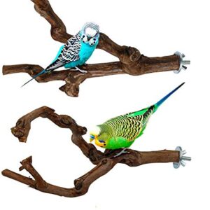 OCHSTIN Parrot Perch Stands Birds Stand Pole Natural Wild Grape Stick Grinding Paw Climbing Standing Cage Accessories Toy Branches for Parakeet, Budgies, Lovebirds