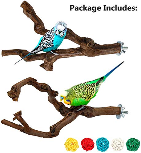 OCHSTIN Parrot Perch Stands Birds Stand Pole Natural Wild Grape Stick Grinding Paw Climbing Standing Cage Accessories Toy Branches for Parakeet, Budgies, Lovebirds