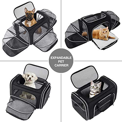 MASKEYON TSA Airline Approved Large Pet Travel Carrier,4 Sides Expandable with 2 Mesh Pockets,3 Entry,Washable Pads,Shoulder Strap,Soft Sided Collapsible Dog Carrier for 2 Cats,Kittens,Puppies,Dog