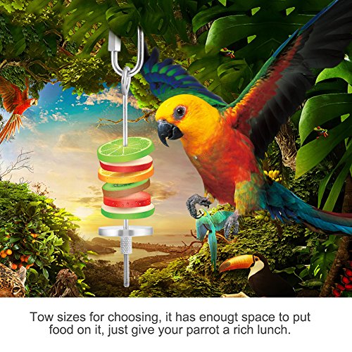 TOPINCN Bird Fruit Holder Stainless Steel Parrot Fruit Vegetable Food Stick Holder Small Animal Bird Toy Vegetable Skewer Treating Tool for Parrots/Chinchillas/Small Pets(L)