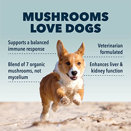 Four Leaf Rover: Seven 'Shrooms- Immune Supporting Organic Mushroom Complex for Dogs - 15 to 60 Day Supply, Depending on Dog’s Weight - Rich in Beta Glucans - Grown on Wood - Vet Formulated