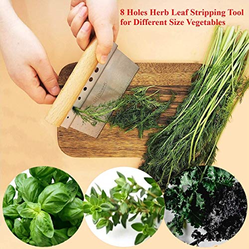 DflowerK Dough Pastry Scraper Chopper Cutter 304 Stainless Steel Great as Griddle Bread Pizza Dough Cutter with Double-Sided Measuring Marks Kale Herb Stripper 8 Holes