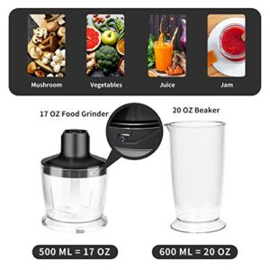 Soonye Immersion Hand Blender, Multifunctional 5-in-1 304 Stainless Stick Blender With 500ml Food Grinder, 600ml Container, Milk Frother, Egg Whisk, BPA-Free, black