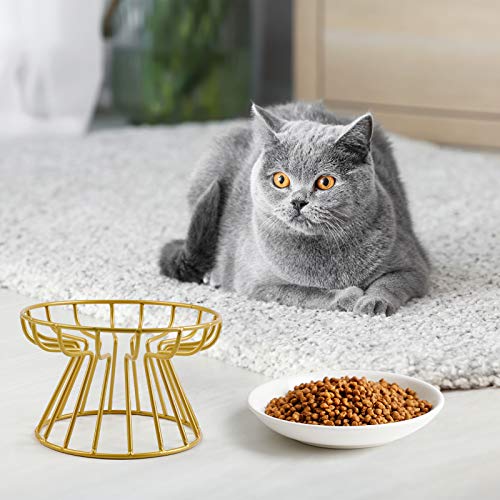 Cat Bowl-Raised Cat Food Bowl,Elevated Cat Feeder Bowl Stand, Food & Water Anti Vomiting Shallow Ceramic Cat Dish, with Non-Slip Mat Pet Bowl for All Cat1