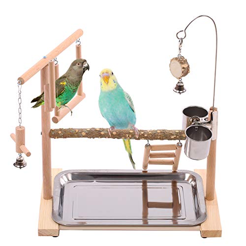 Bird Playground Birdcage Playstand Parrot Play Gym Parakeet Cage Decor Budgie Perch Stand with Feeder Seed Cups Ladder Hanging Swing Chew Toys Conure Macaw Cockatiel Finch (Prickly ash Wood)