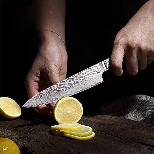 YOUNG&TAYLOR 8 Inch Professional Chef Knife,67 Layers Japanese VG-10 DAMASCUS STEEL with Hammered Finished (Premium Rosewood Handle)