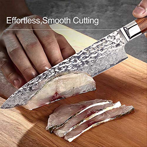 YOUNG&TAYLOR 8 Inch Professional Chef Knife,67 Layers Japanese VG-10 DAMASCUS STEEL with Hammered Finished (Premium Rosewood Handle)