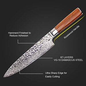 YOUNG&TAYLOR 8 Inch Professional Chef Knife,67 Layers Japanese VG-10 DAMASCUS STEEL with Hammered Finished (Premium Rosewood Handle)