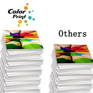 16-Pack ColorPrint Compatible CLI42 Ink Cartridge Replacement for Canon CLI-42 CLI 42 for PIXMA Pro-100 Pro-100S Pro100 Pro100s Pro 100S Laser Printer (2BK/2C/2M/2Y/2PC/2PM/2Gray/2Light Gray)