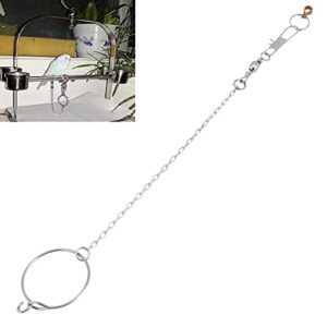 bird anklet chain parrot foot ring stainless steel bird leash parrot opening activity ring bird stand anklet pet bird supplies for nyasa lovebird cockatiel cockatoo sun conure monk parakeet(5.5mm)